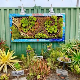 Mersea Restaurant & Bar San Francisco, CA 94130 | Explore Menu ...