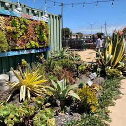 Mersea Restaurant & Bar San Francisco, CA 94130 | Explore Menu ...