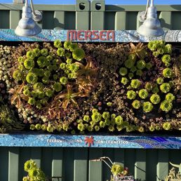 Mersea Restaurant & Bar San Francisco, CA 94130 | Explore Menu ...